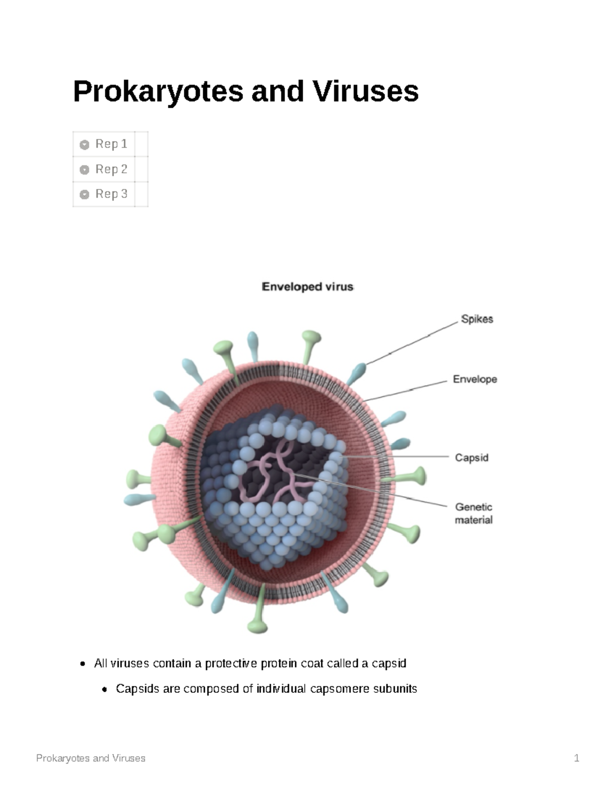 Prokaryotes and Viruses - consist of three basic parts: a basal body, a ...