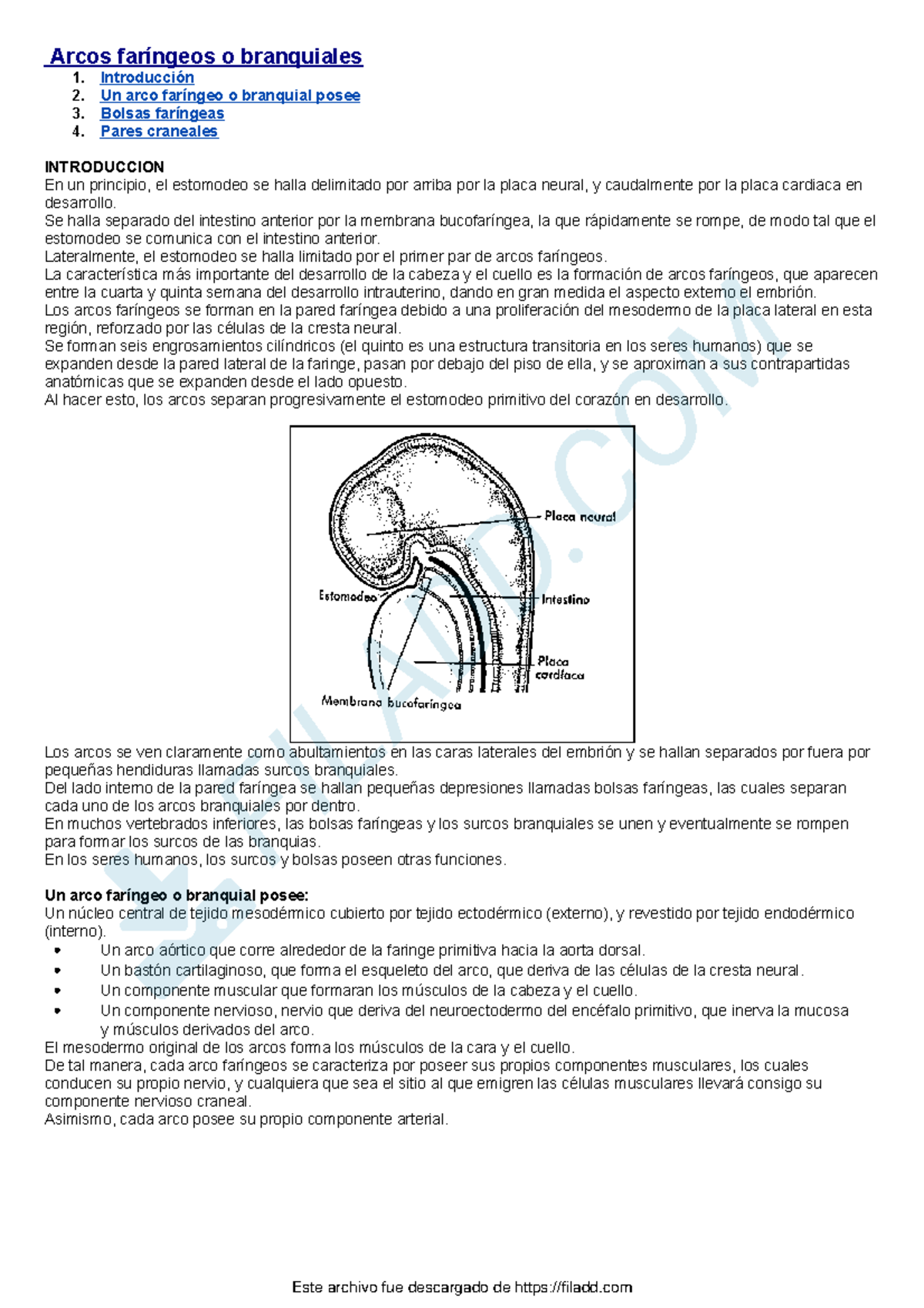 Arcos faringeoss - Arcos faríngeos o branquiales 1. Introducción 2. Un ...