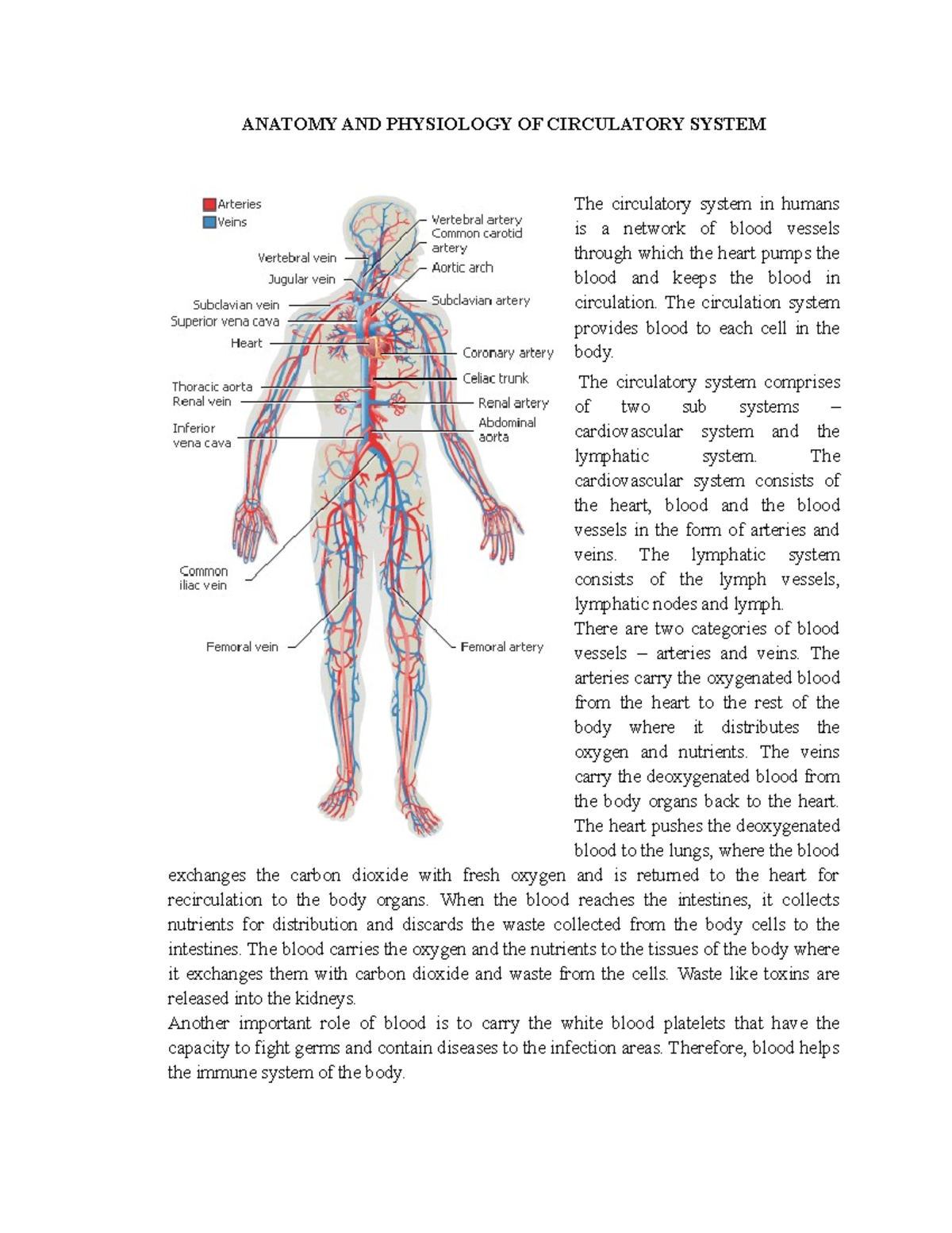 Anatomy and Physiology of Circulatory System - ANATOMY AND PHYSIOLOGY ...