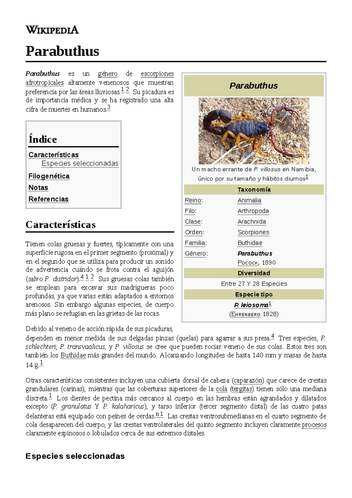 Parabuthus - Parabuthus Un macho errante de P. villosus en Namibia ...