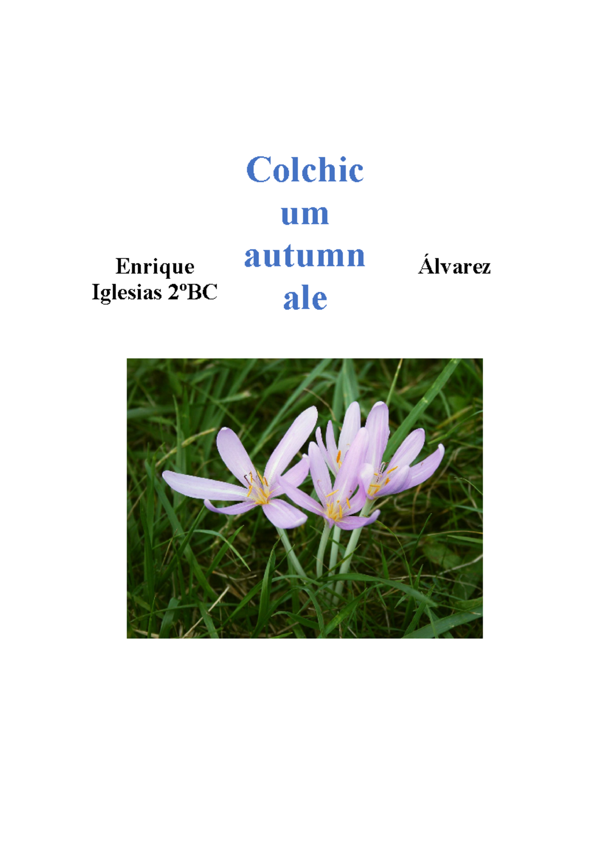 Colchicum autumnale - Enrique Álvarez Iglesias 2ºBC Colchic um autumn ...