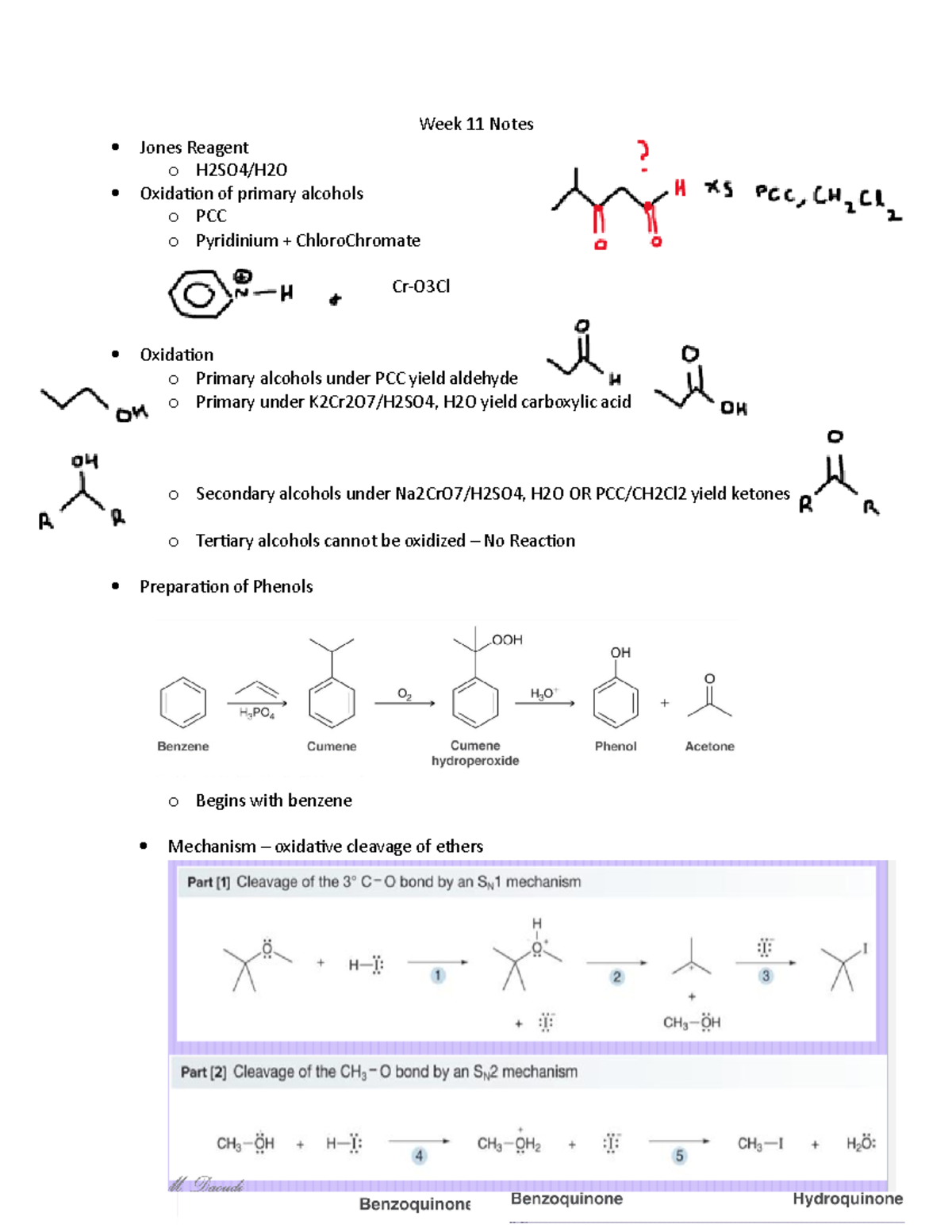 Week 11 Notes - Jones Reagent Week 11 Notes o H2SO4/H2O Oxidation of ...