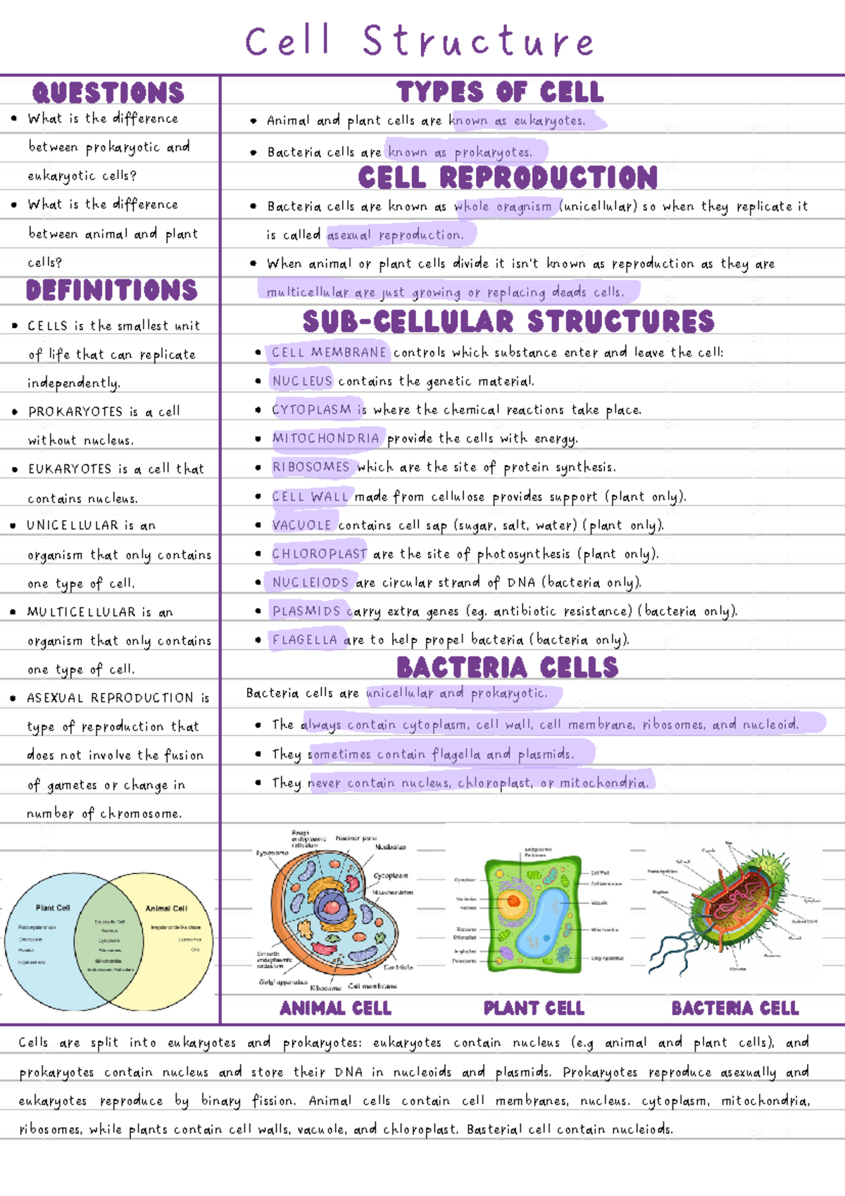 PRACTICAL CORNELL NOTES - Cell Structure Questions Definitions What is ...