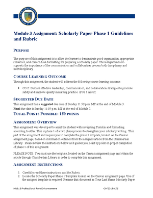 Ren Time Management Plan - NR513 Professional Role Enhancement Time ...