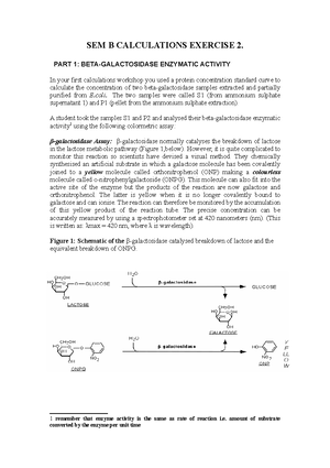 Calculations Exercise 1 (1) - SEM B CACULATION EXERCISE 1. EXTRACTION ...