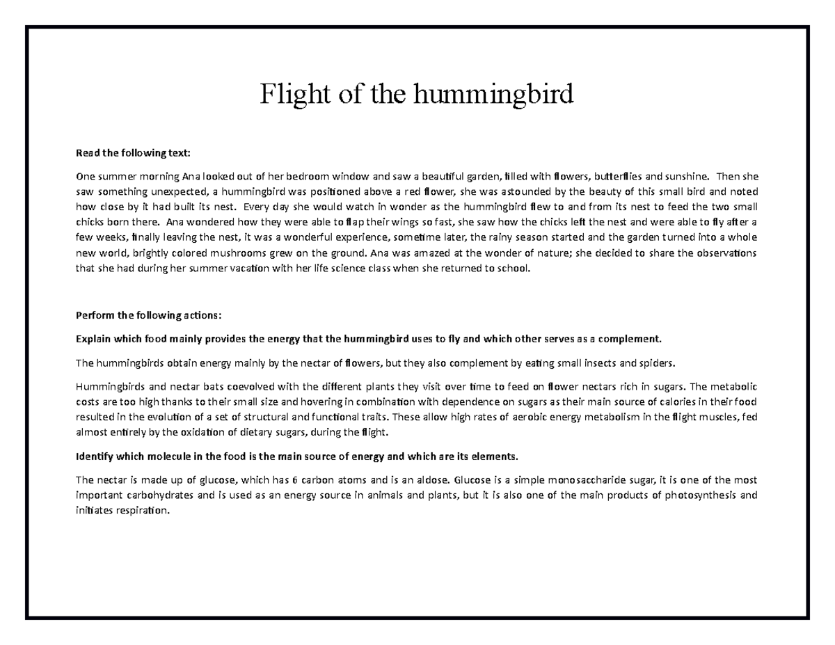 Flight of the hummingbird - Then she saw something unexpected, a ...