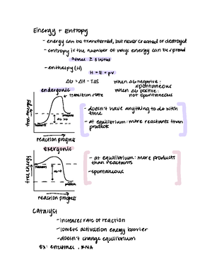 AP Biology Virtual Pre-lab Bacterial Transformation 2021 - Nimisha ...