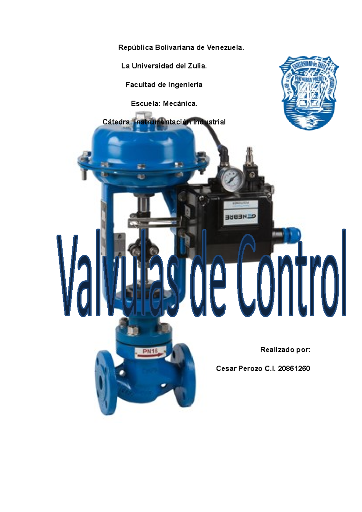 Valvulas de control - Es un ejercicio acerca de algunas variables ...