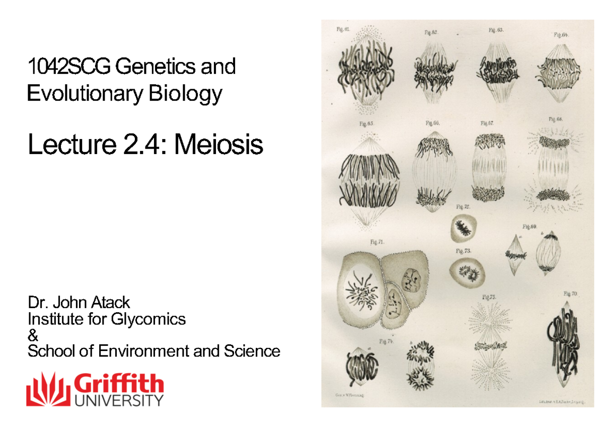 Lecture 2-4 - Genetics - 1042SCG Genetics and Evolutionary Biology ...
