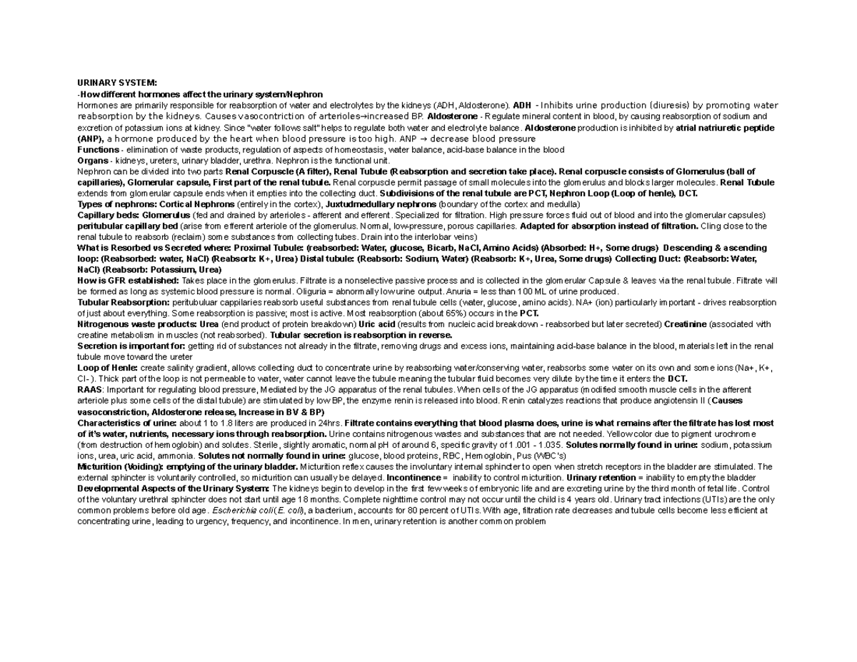 ANAT 1053 Cheat Sheet - URINARY SYSTEM: -How different hormones affect ...
