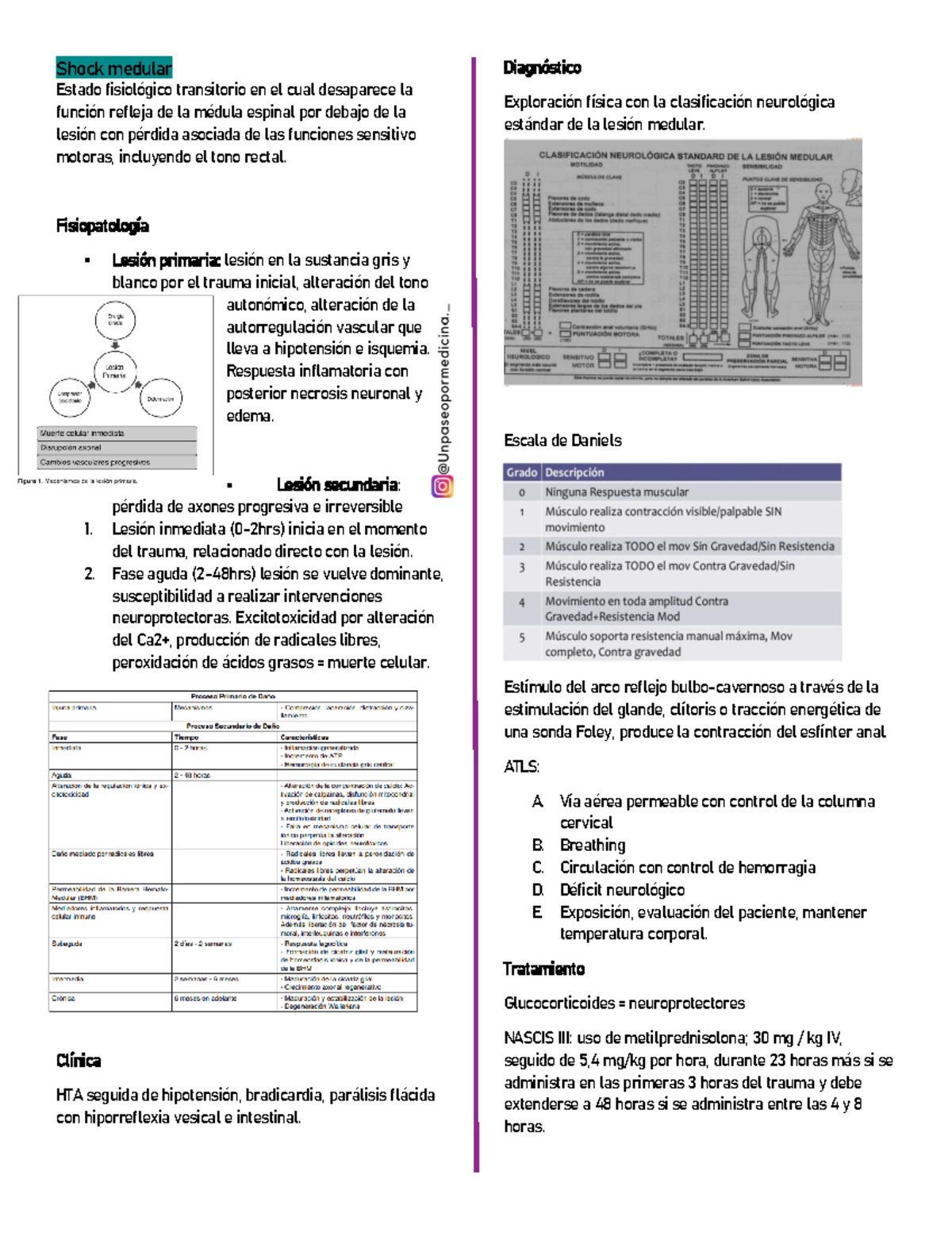 Shock medular - Shock medular Estado fisiolÛgico transitorio en el cual ...