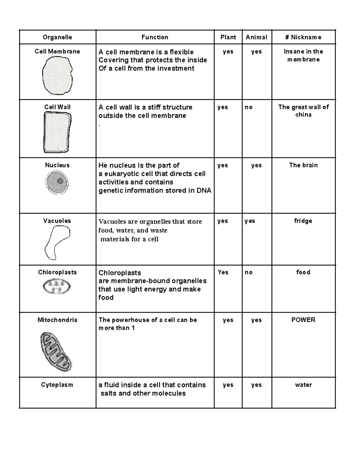 Cell Graphic Organizer - Organelle Function Plant Animal # Nickname ...
