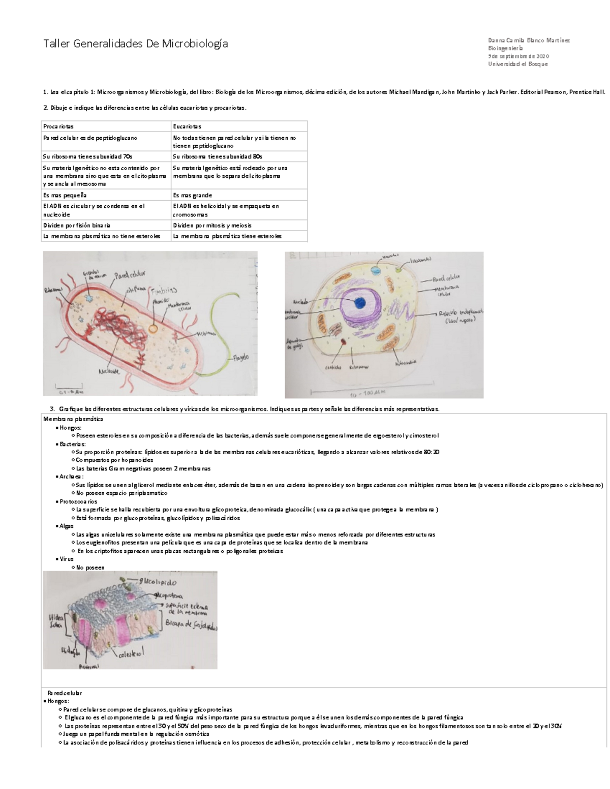 Taller generalidades - Warning: TT: undefined function: 32 ĂŶŶĂ ĂŵŝůĂ ůĂŶĐŽ DĂƌƚşŶĞnj - Studocu