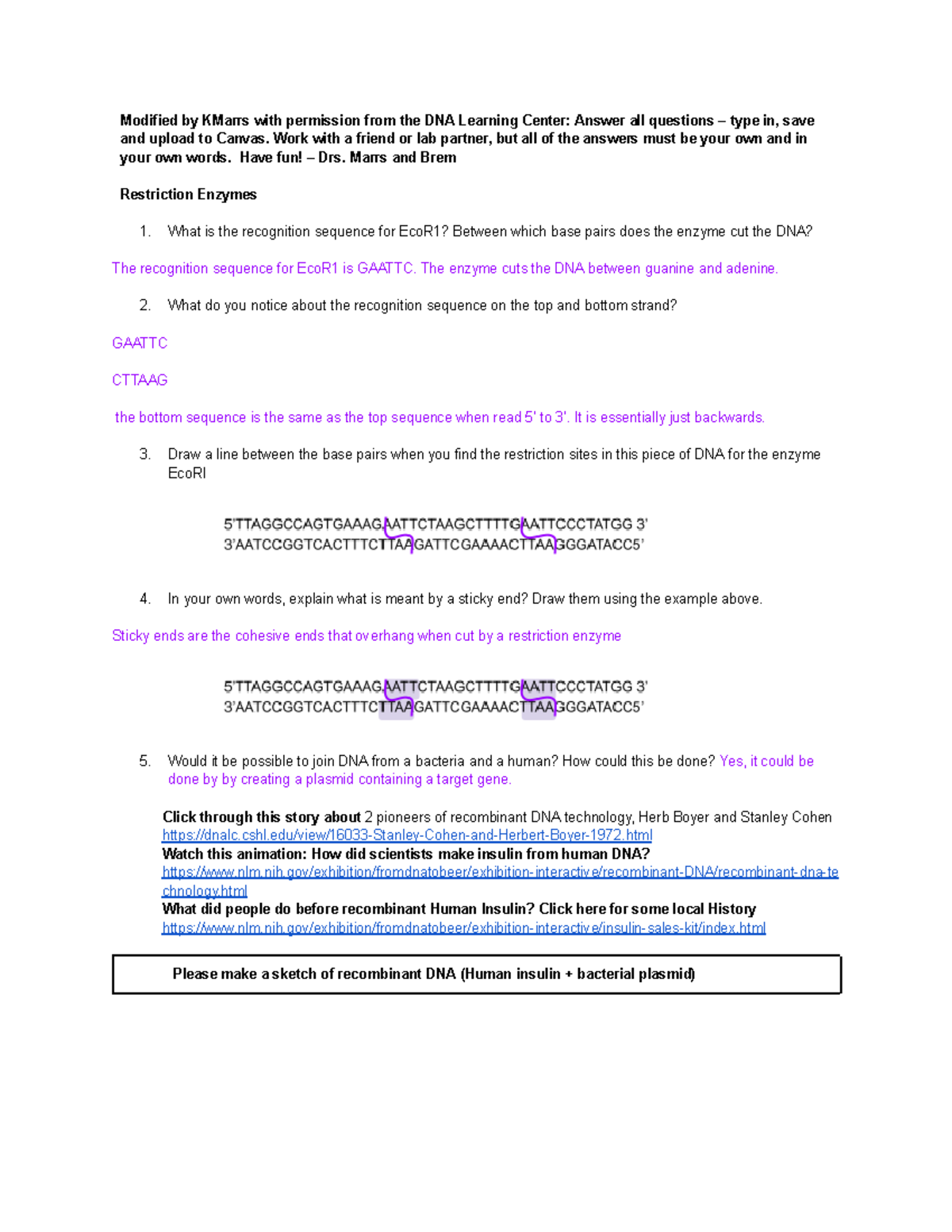 K101 Gel Electrophoresis Lab - Modified by KMarrs with permission from ...