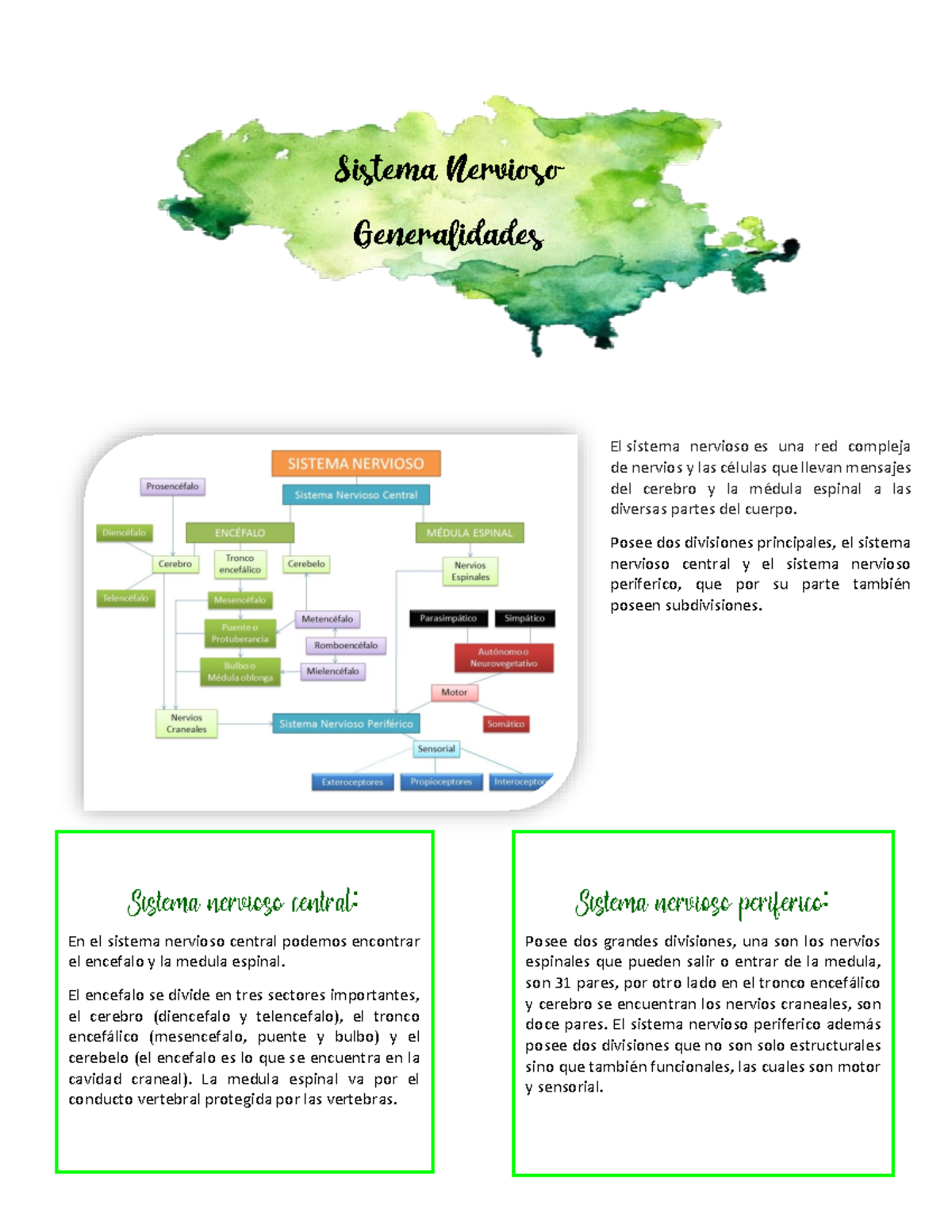 11. Generalidades sistema nervioso - Warning: TT: undefined function: 32 Warning: TT: undefined ...