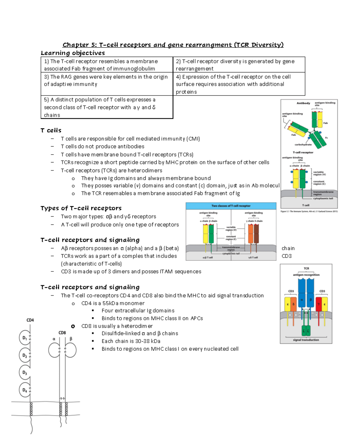 Chapter 5 - Notes - Chapter 5: T-cell receptors and gene rearrangment ...
