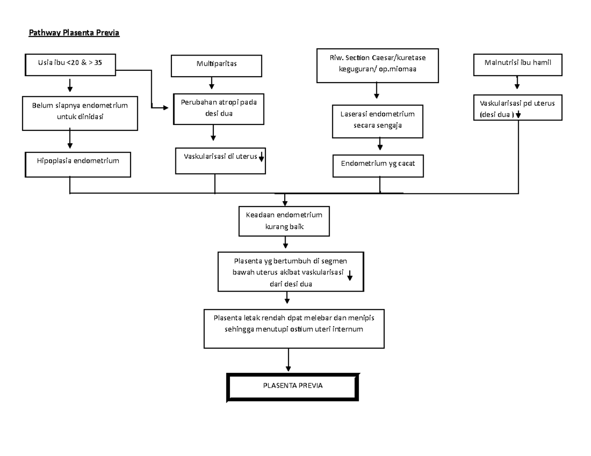 391429757 305180988 Pathway Plasenta Previa doc - Pathway Plasenta ...