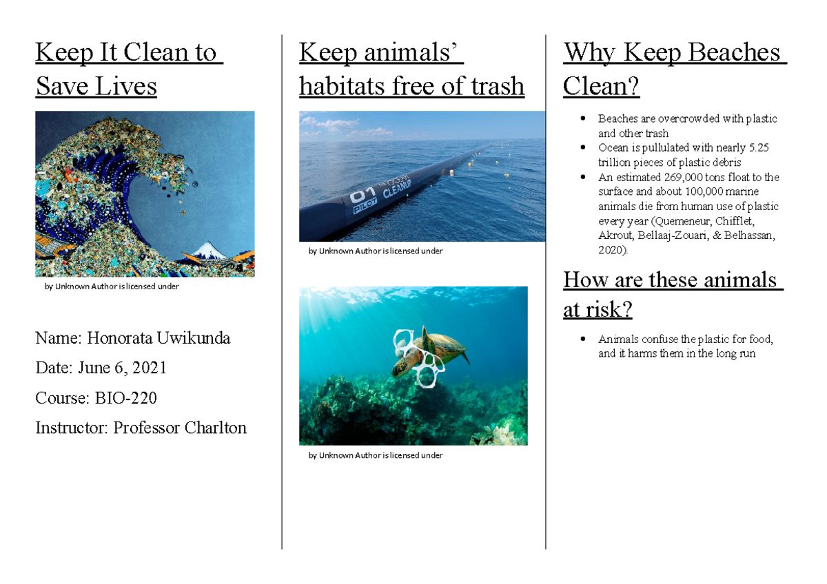 Restoration Pamphlet for BIO - Keep It Clean to Save Lives Name ...