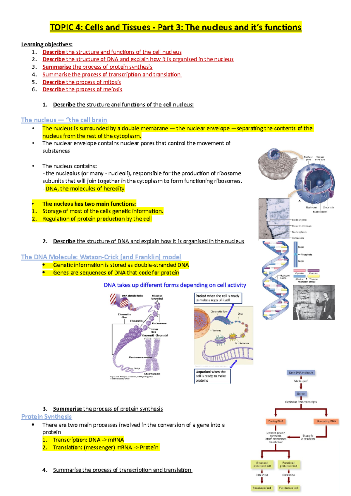 Topic 4 - Cells & Tissues - Part 3 - TOPIC 4: Cells and Tissues - Part ...