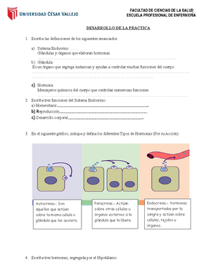 GUIA DE Cuidado- Higiene Perineal - Programa de Estudios/Programa ...