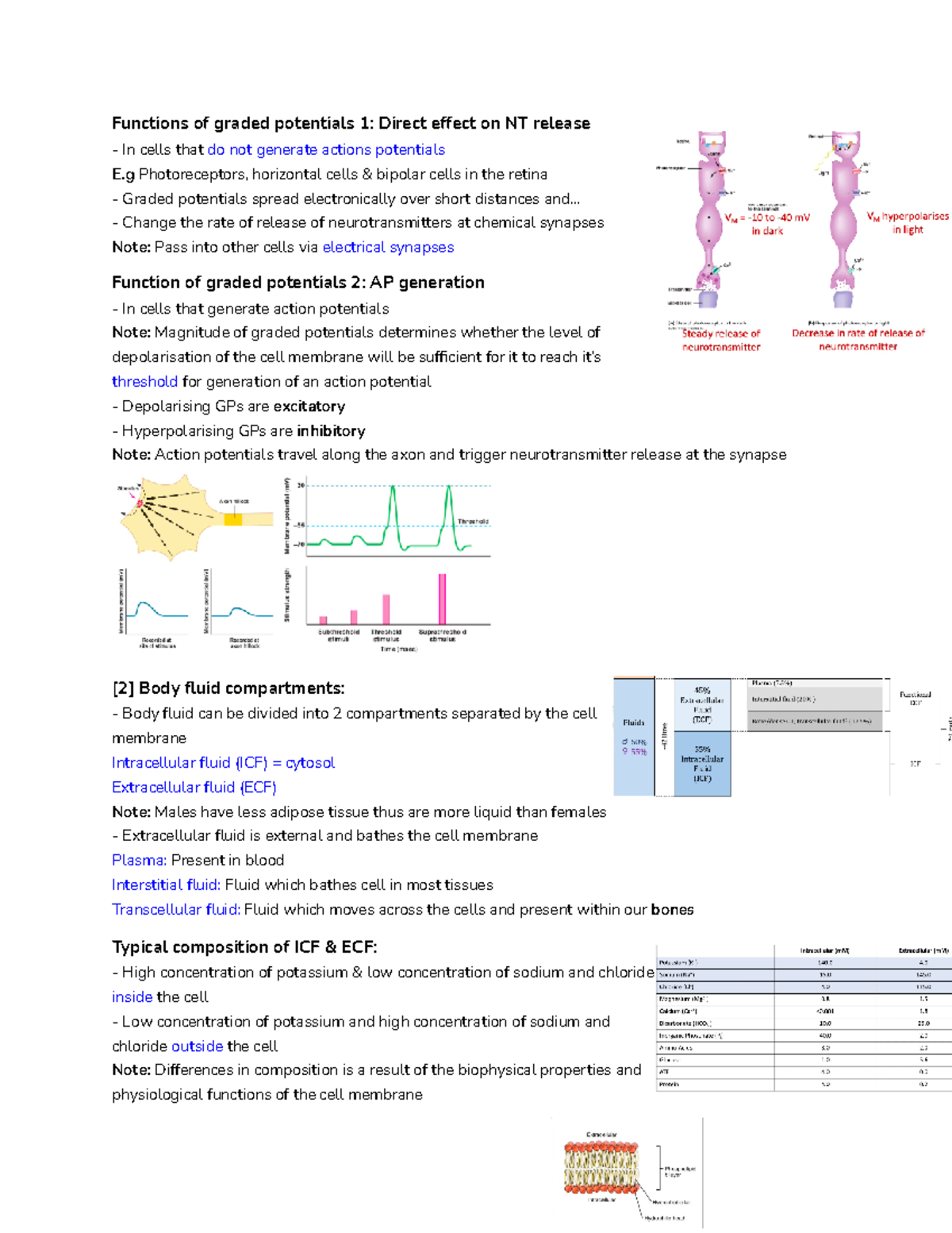 Week 2 Receptors, Graded potentials and Resting membrane potential pt2 ...