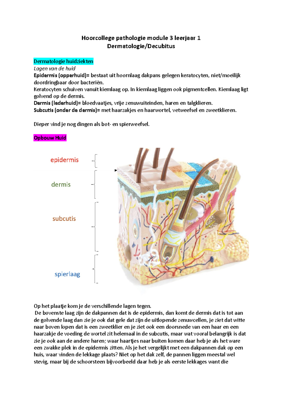 HC Huid en decubitus - Hoorcollege anatomie. - Hoorcollege pathologie ...