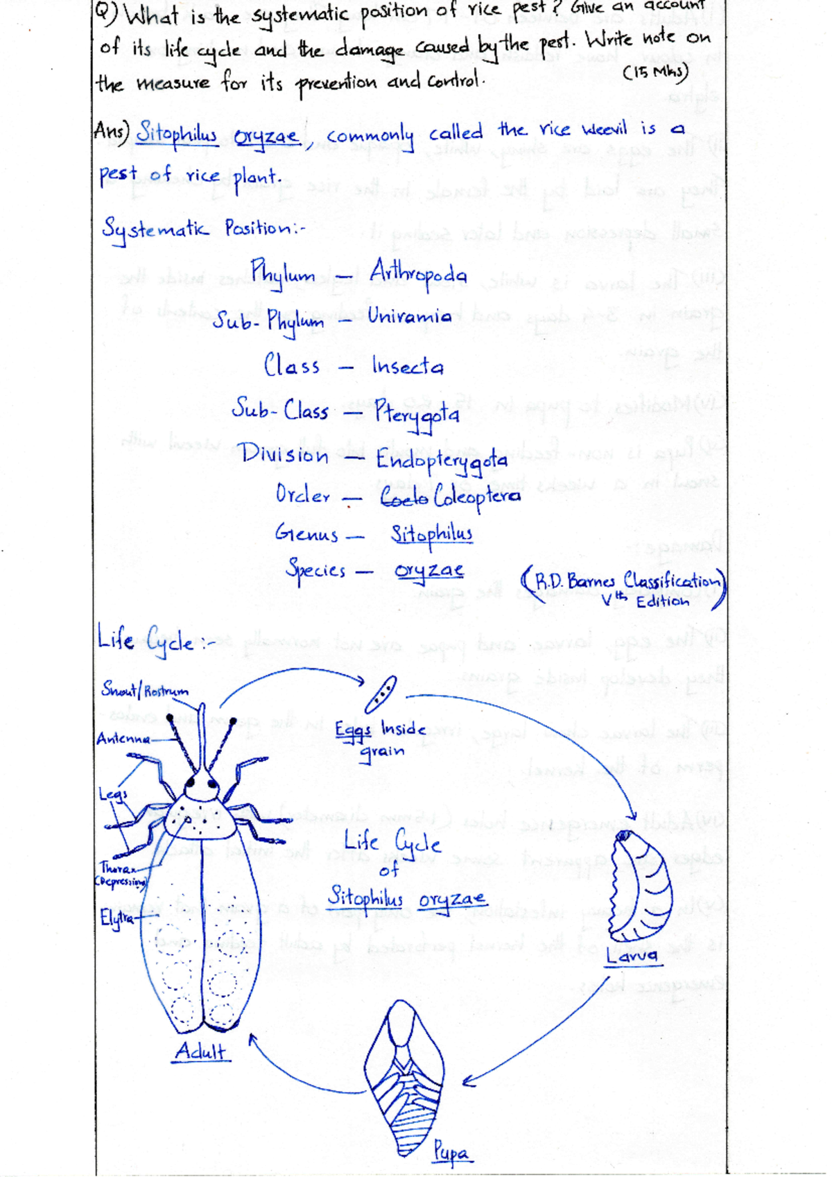Economic Zoology QA 1 Systematic Position of Rice Pest - Bachelor of ...