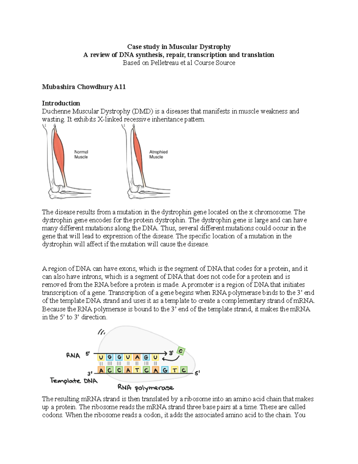 DMD CASE - Project - Case study in Muscular Dystrophy A review of DNA ...