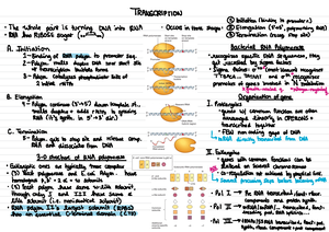 Module 3 Practice Problems BIO&BCH3170 FALL 2020 Solutions - Module 3 - RNA Structure and - Studocu