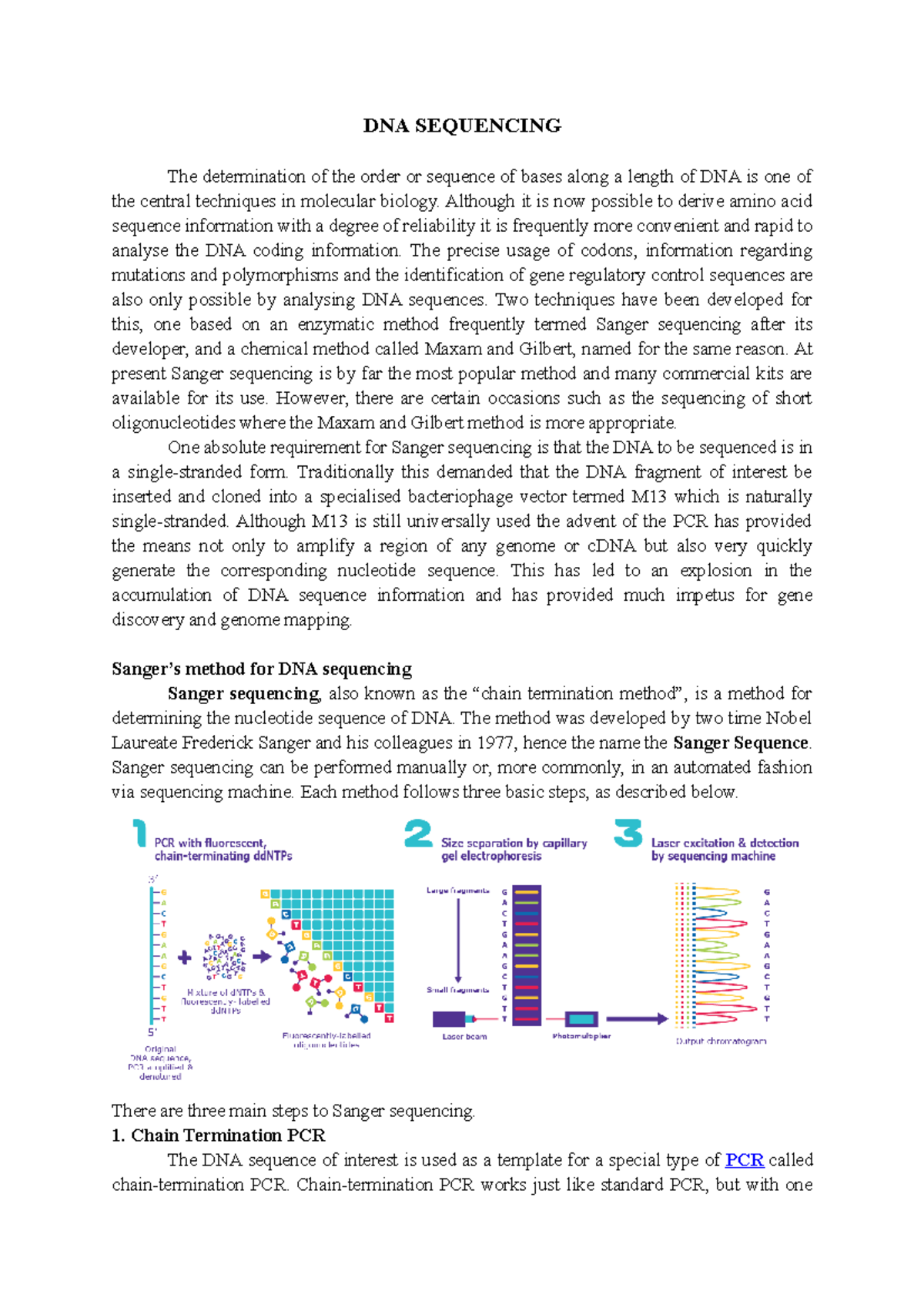 DNA Sequencing - lecture notes - DNA SEQUENCING The determination of ...