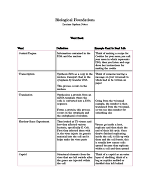 04 Professional Attire Template - Wardrobe Assignment: Name: Mi’ Yahna ...
