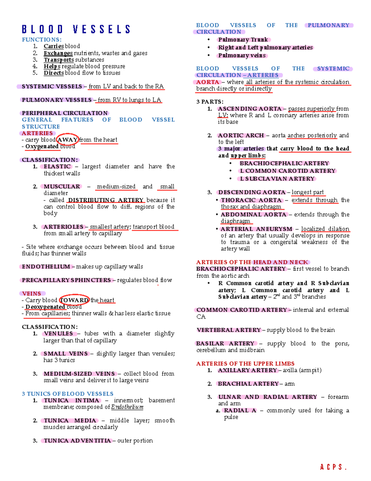 13-Blood-Vessels - anaphy - A C P S. B L O O D V E S S E L S FUNCTIONS ...
