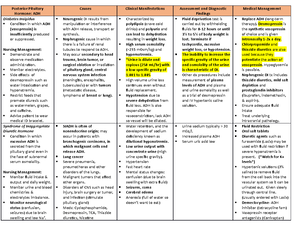 NR 400 Picot Question Template - Adapted from the PICOT Questions ...
