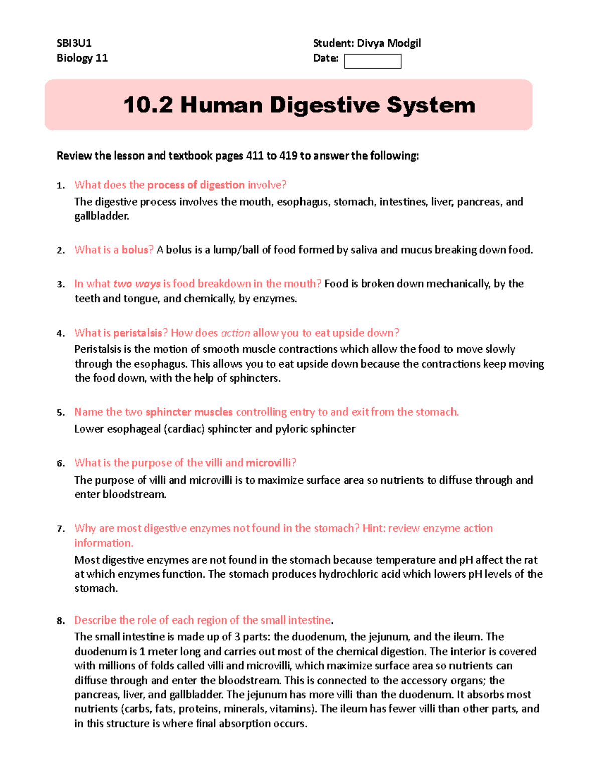 10.2 Human Digestive System (Worksheet) - SBI3U1 Student: Divya Modgil ...