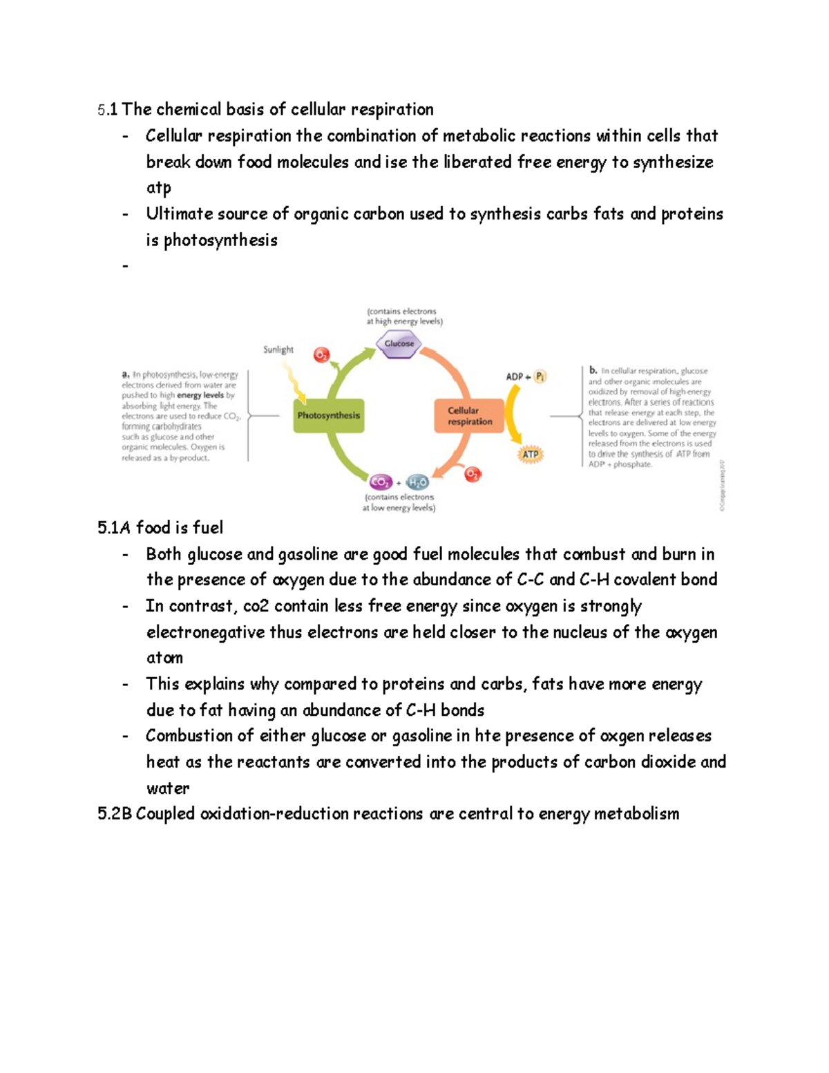 Cellular respiration - Lecture notes lecture/tb notes taken from ch 5 ...