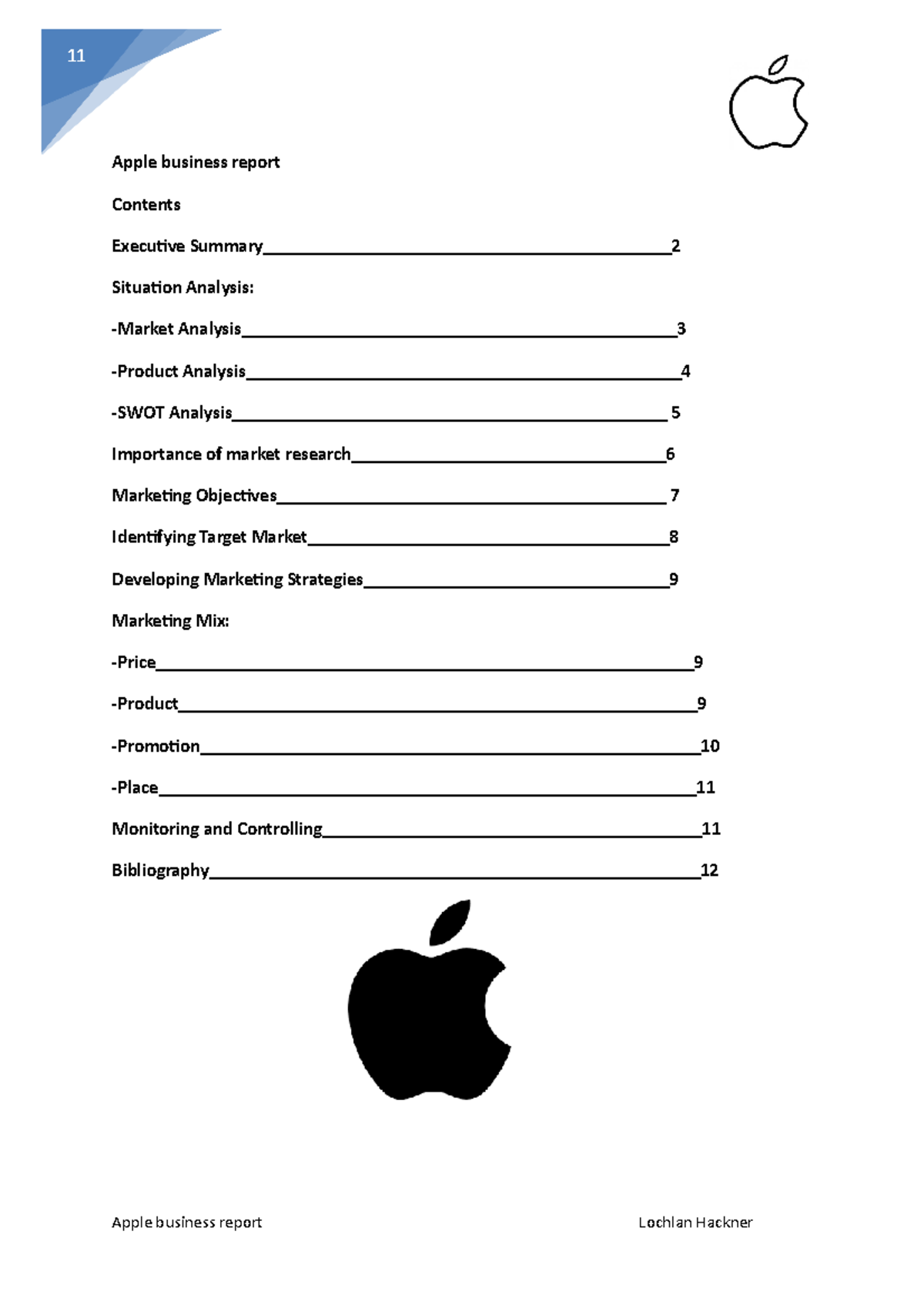 Apple Marketing - Apple business report Execuive Summary