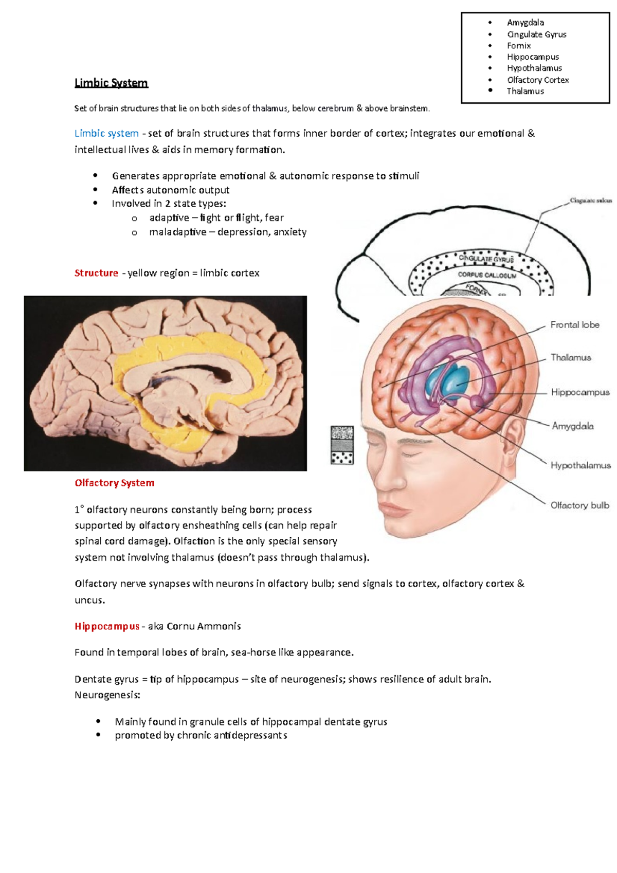 Limbic System - Lecture notes 1 - Limbic System Set of brain structures ...