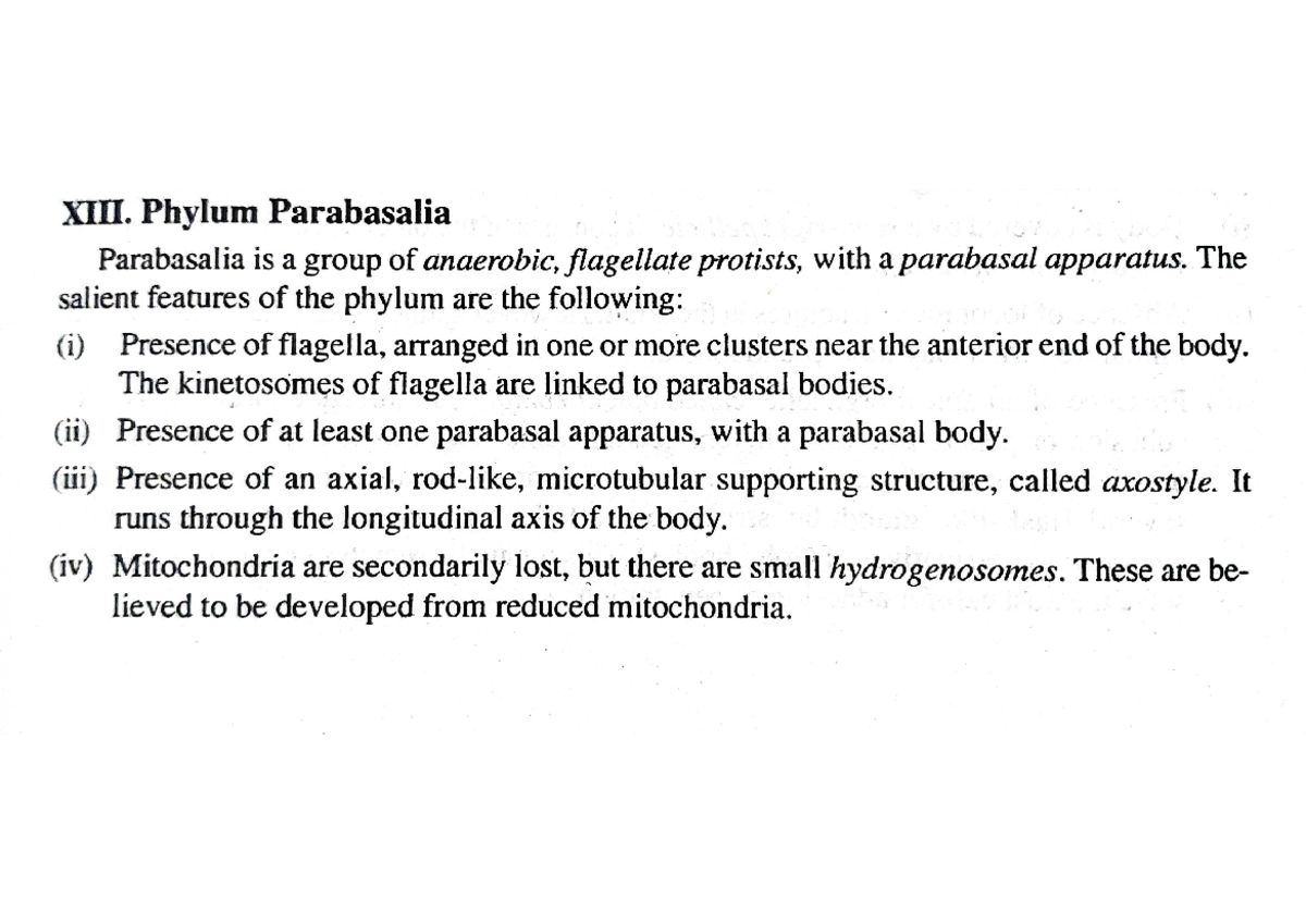 Phylum Parabasalia - Useful - Zoology - Studocu