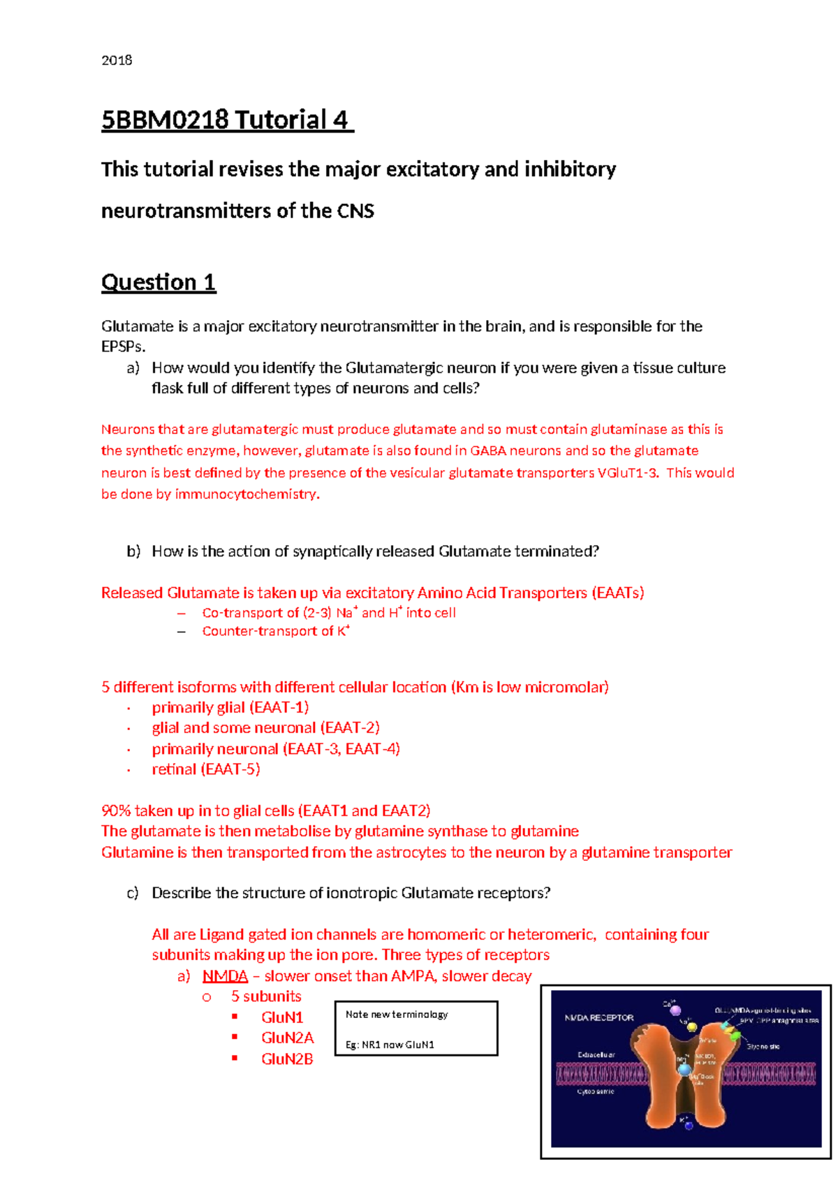 Tutorial 4 Answers - 5BBM0218 Tutorial 4 This tutorial revises the major excitatory and ...