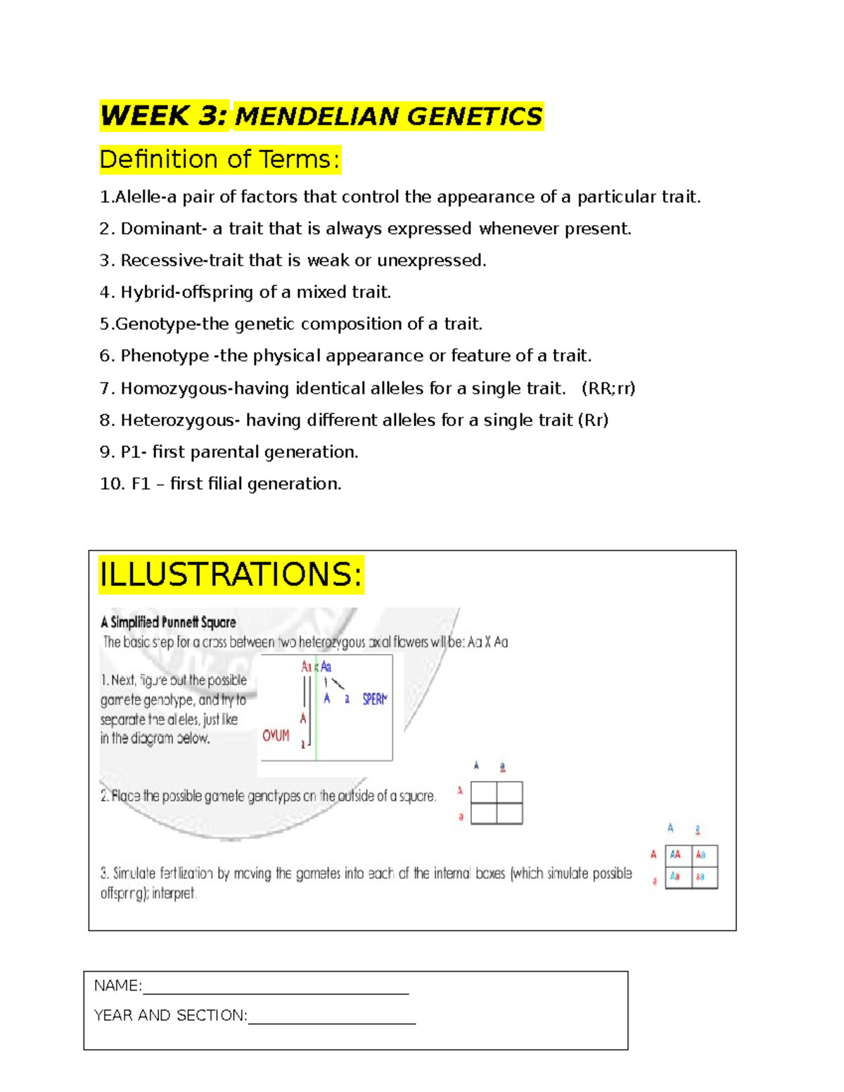 Q4 WEEK-3 Activity - Asrgrhehwhqh - WEEK 3: MENDELIAN GENETICS ...