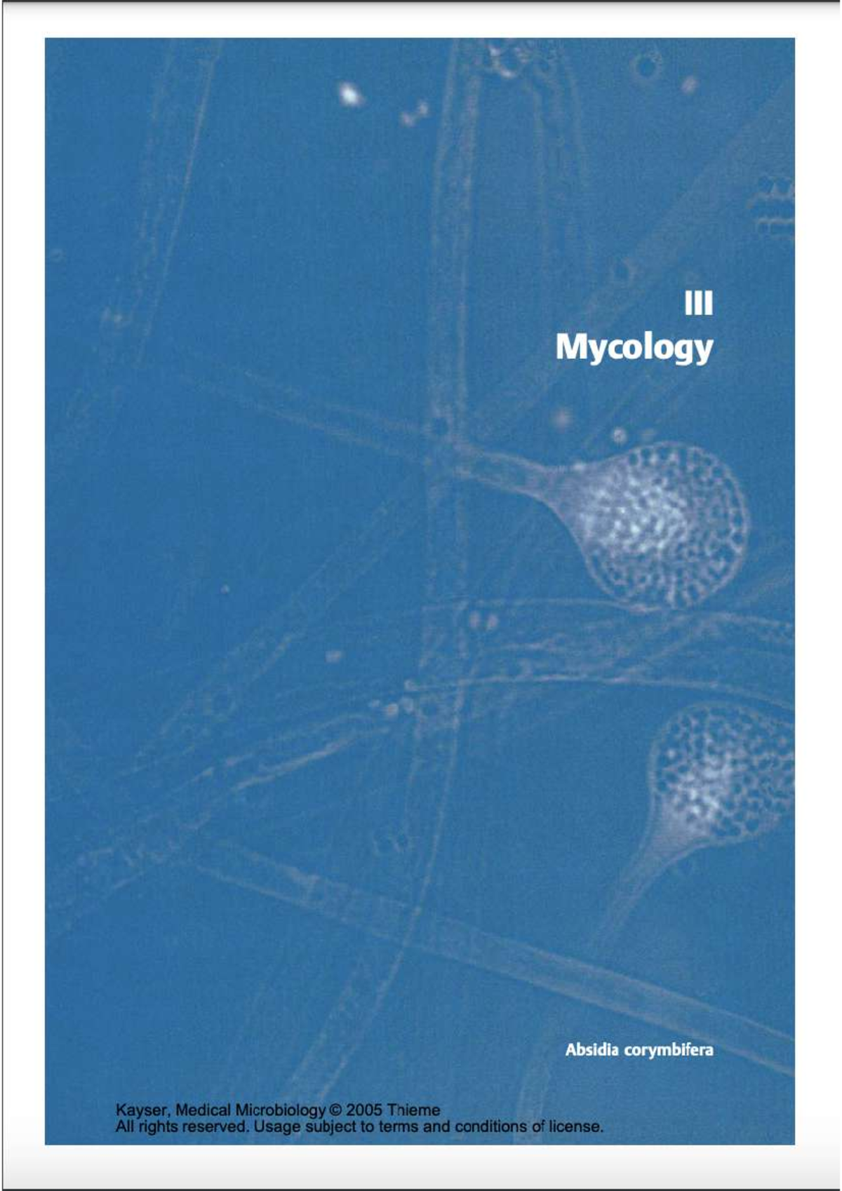 Mycology - General Biology - Studocu
