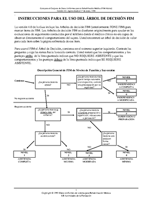 PAUTA EVALUACIÓN ACIS - Manual del Usuario del EVALUACIÓN DE LAS ...
