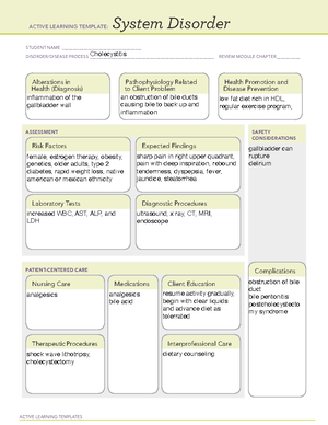 Meningitis - ATI learning template - ACTIVE LEARNING TEMPLATES System ...
