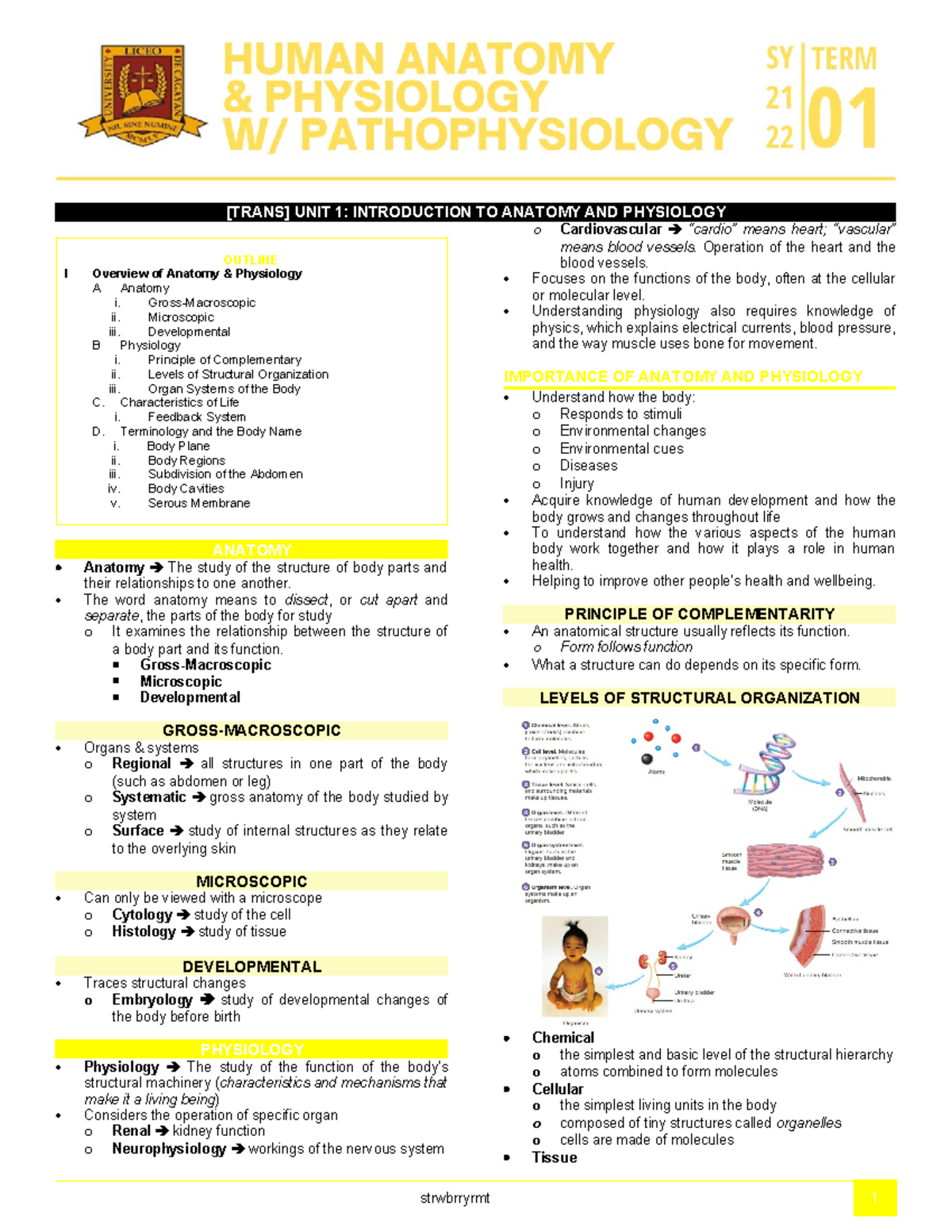 BSML-1104 Unit 1 - Anaphy Unit 1 - [TRANS] UNIT 1: INTRODUCTION TO ...