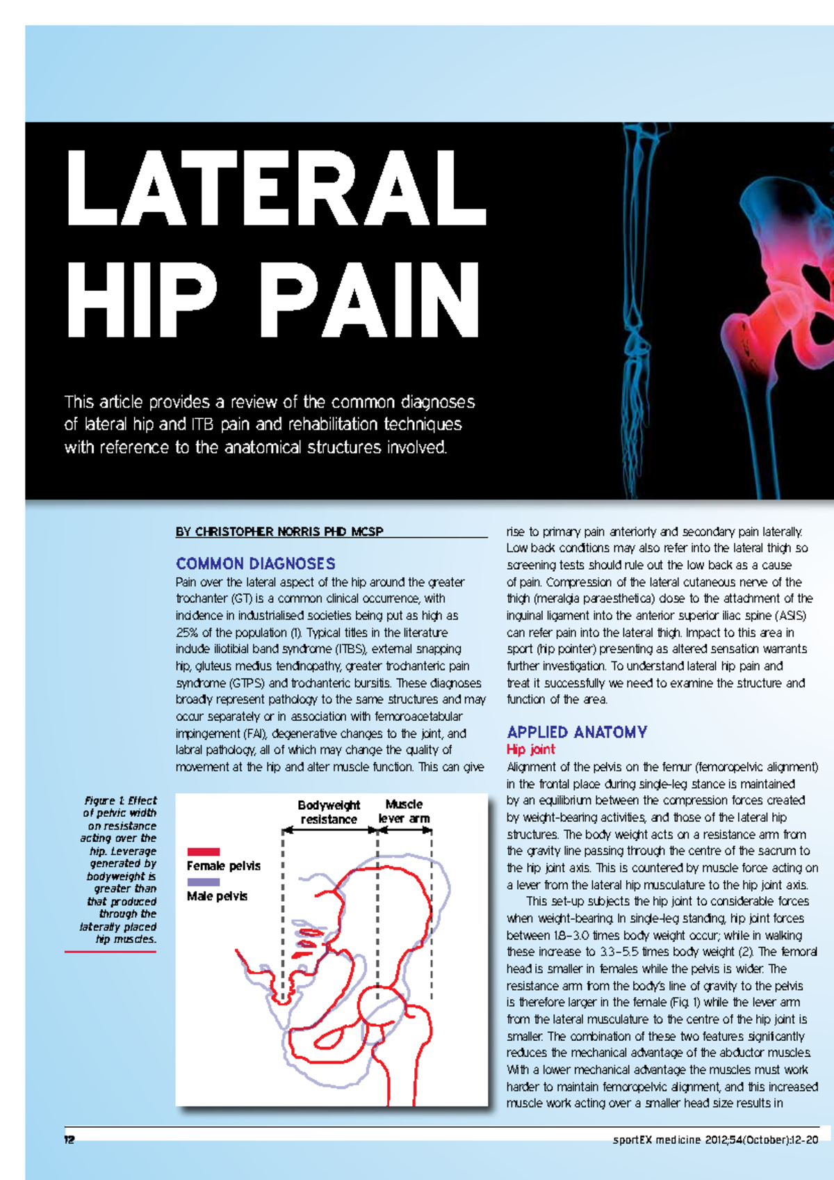 Lateral hip pain article - BY CHRISTOPHER NORRIS PHD MCSP COMMON ...