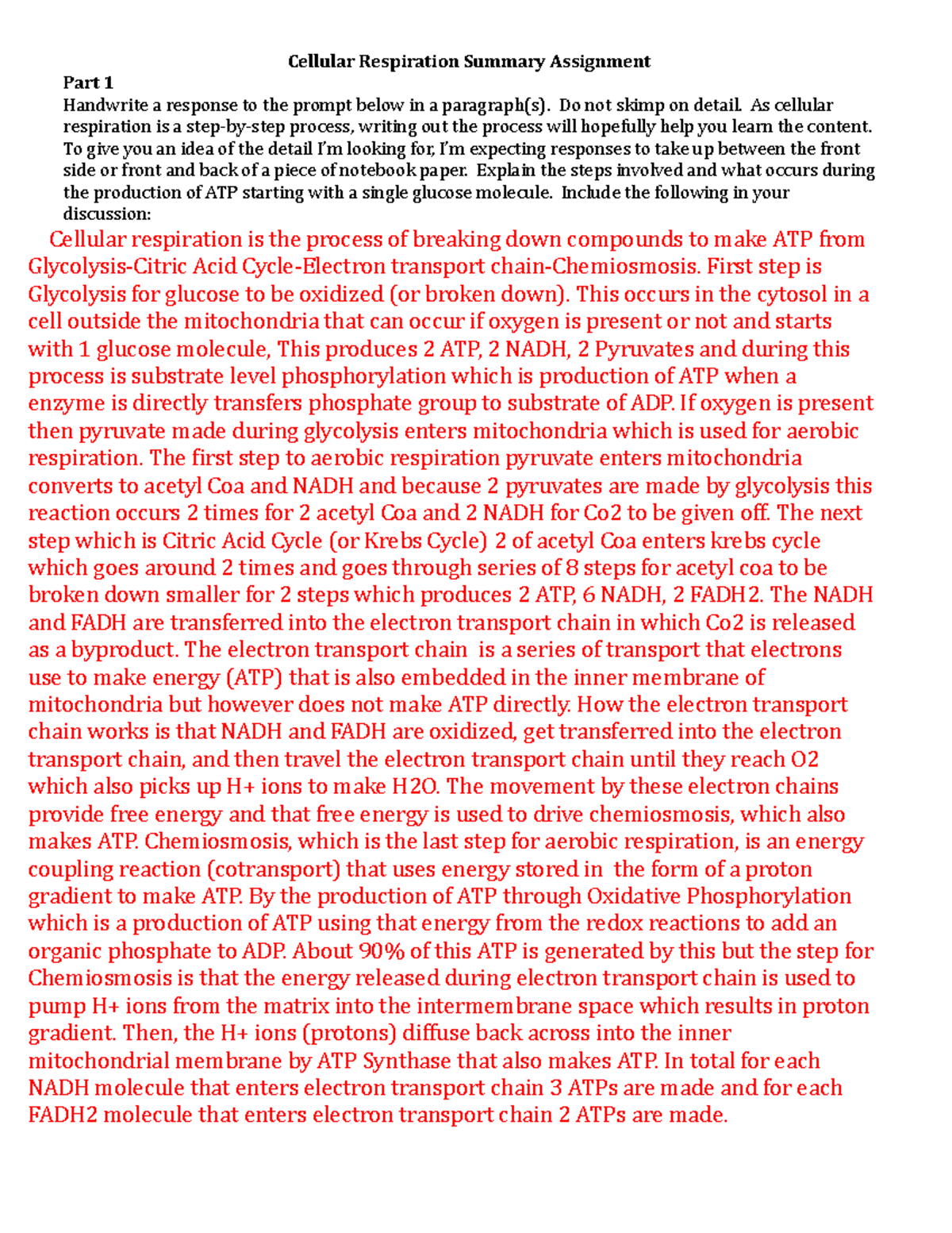 Andy of Cellular Respiration Writing Assignment - Google Docs ...