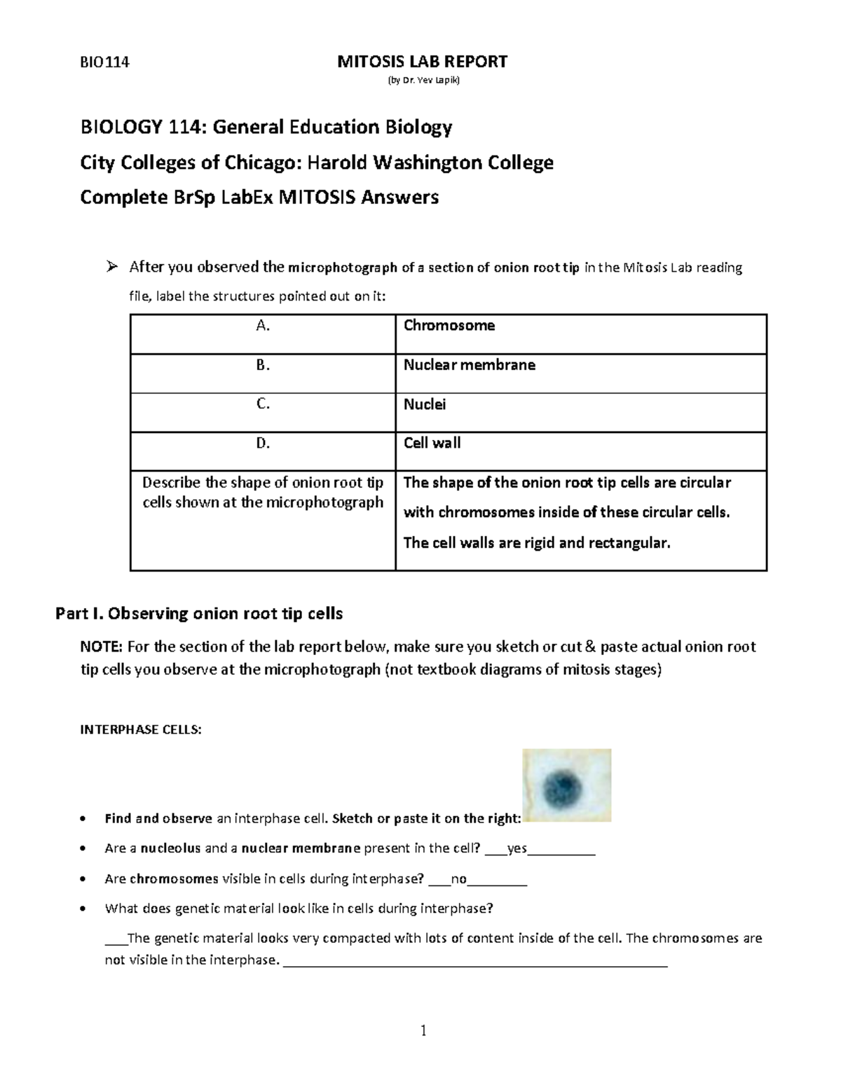 Complete Br Sp Lab Ex Mitosis - (by Dr. Yev Lapik) BIOLOGY 114: General ...