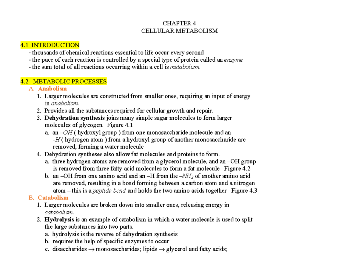 Ch 4 bisc 225 notes - CHAPTER 4 CELLULAR METABOLISM 4 INTRODUCTION ...