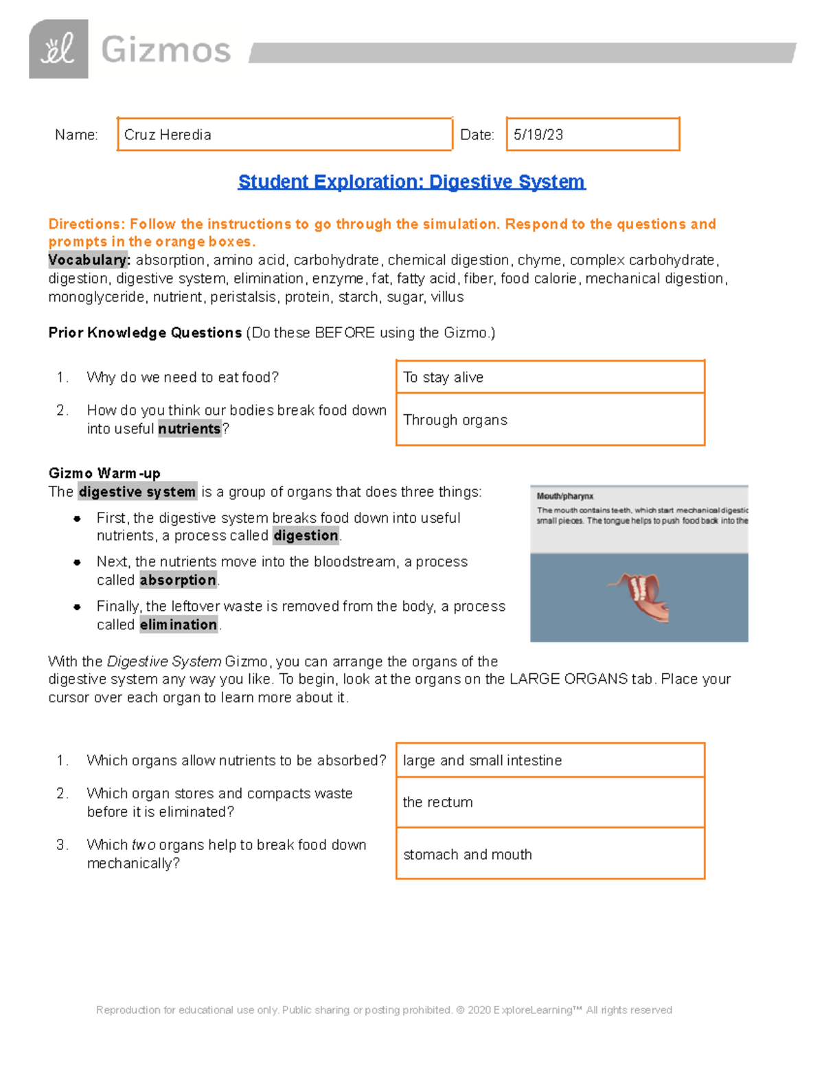 Cruz H Gizmos Digestive System SE - Name: Cruz Heredia Date: 5/19 ...