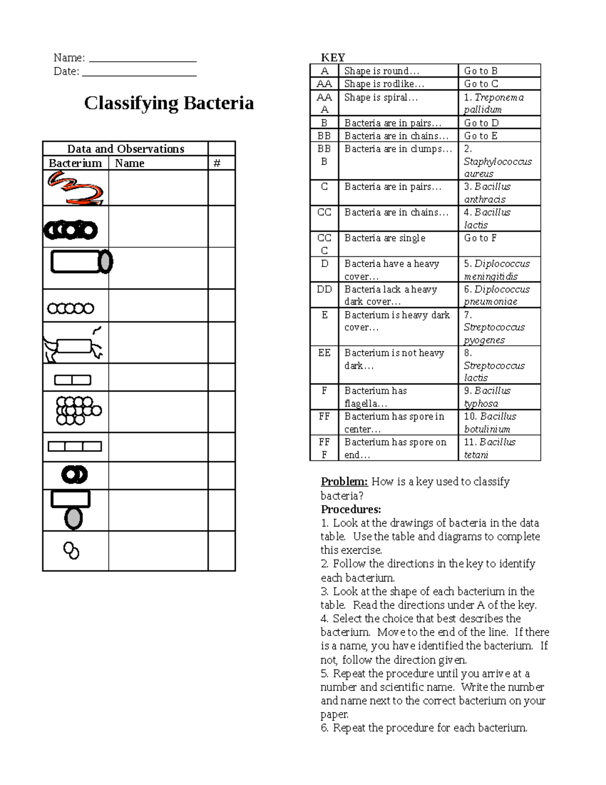 Classifying Bacteria WS 20S - Name: Date: Classifying Bacteria Data and Observations Bacterium ...